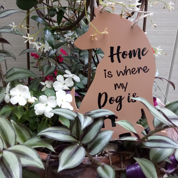 Wall Decor | Home Dog Sign | Poshmark